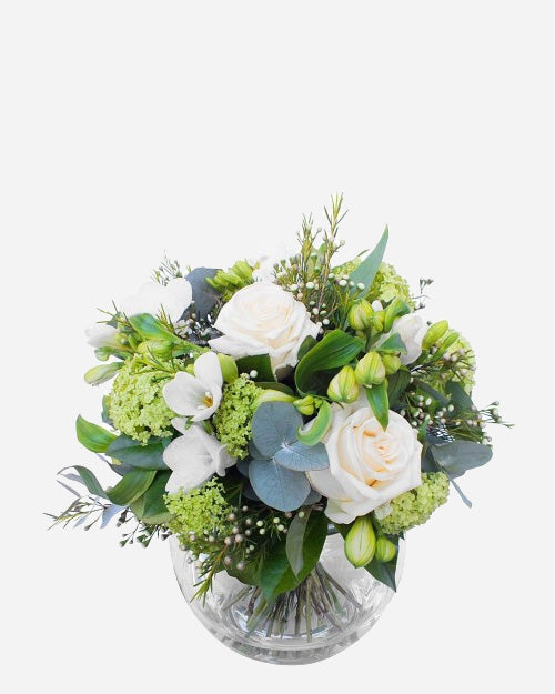 Jade - White Roses - Fresh Blooms Langley Same Day Flowers Delivery ...