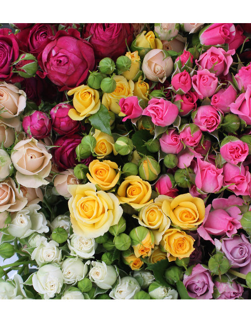 Spray Roses | Wholesale Flowers - Fresh Blooms Langley – Fresh Blooms ...