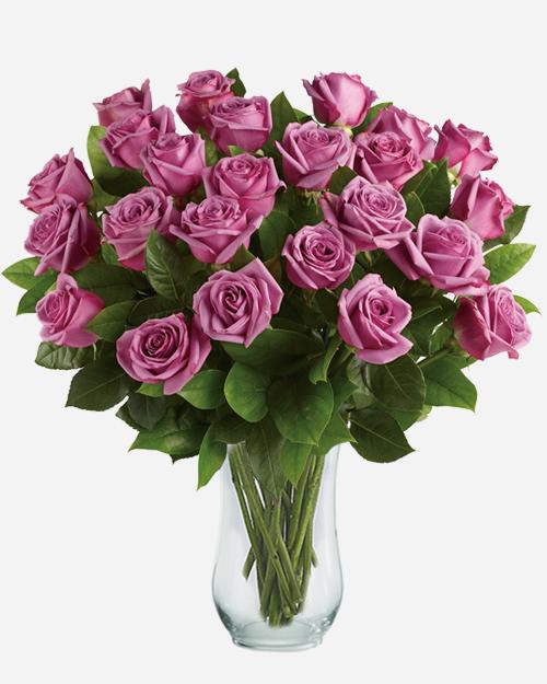 Classic 24 Mauve Roses - Fresh Blooms Same Day Flowers Delivery – Fresh ...